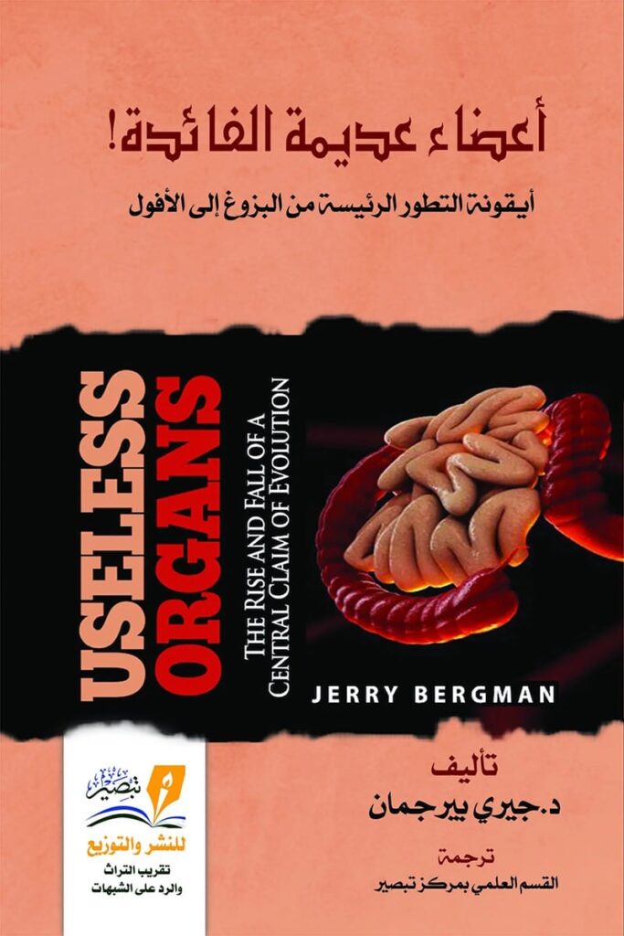 أعضاء عديمة الفائدة (جزءين) - أيقونة التطور الرئيسة من البزوغ إلى ...